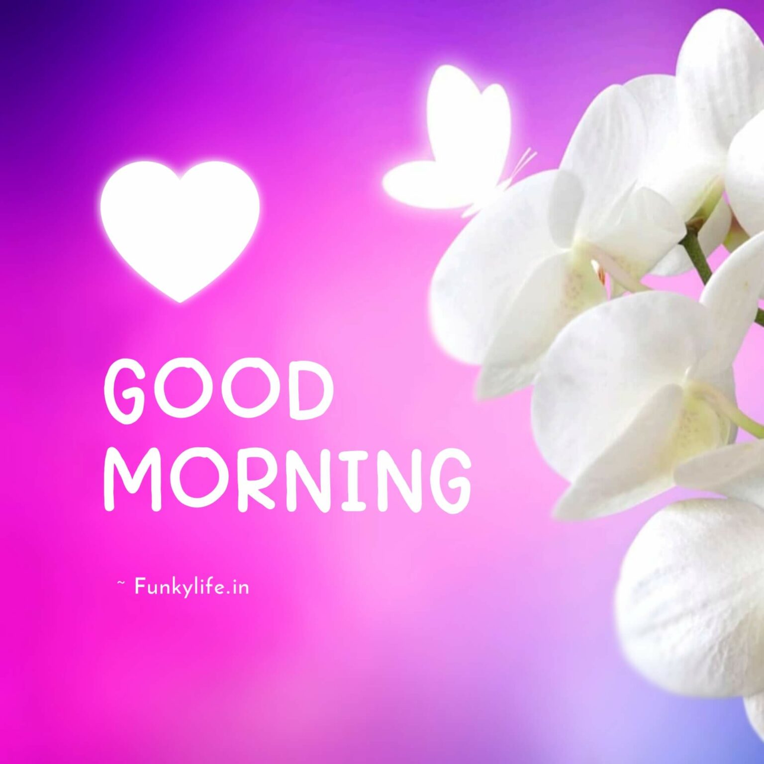 250+ Good Morning Images, Pictures & Beautiful Morning Wishes 2021