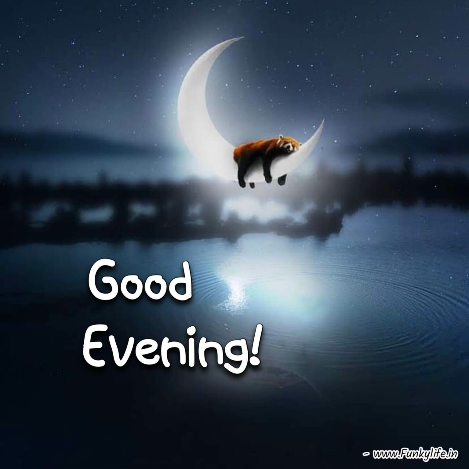 75 Beautiful Good Evening Images Photos Pictures Ideas 2022