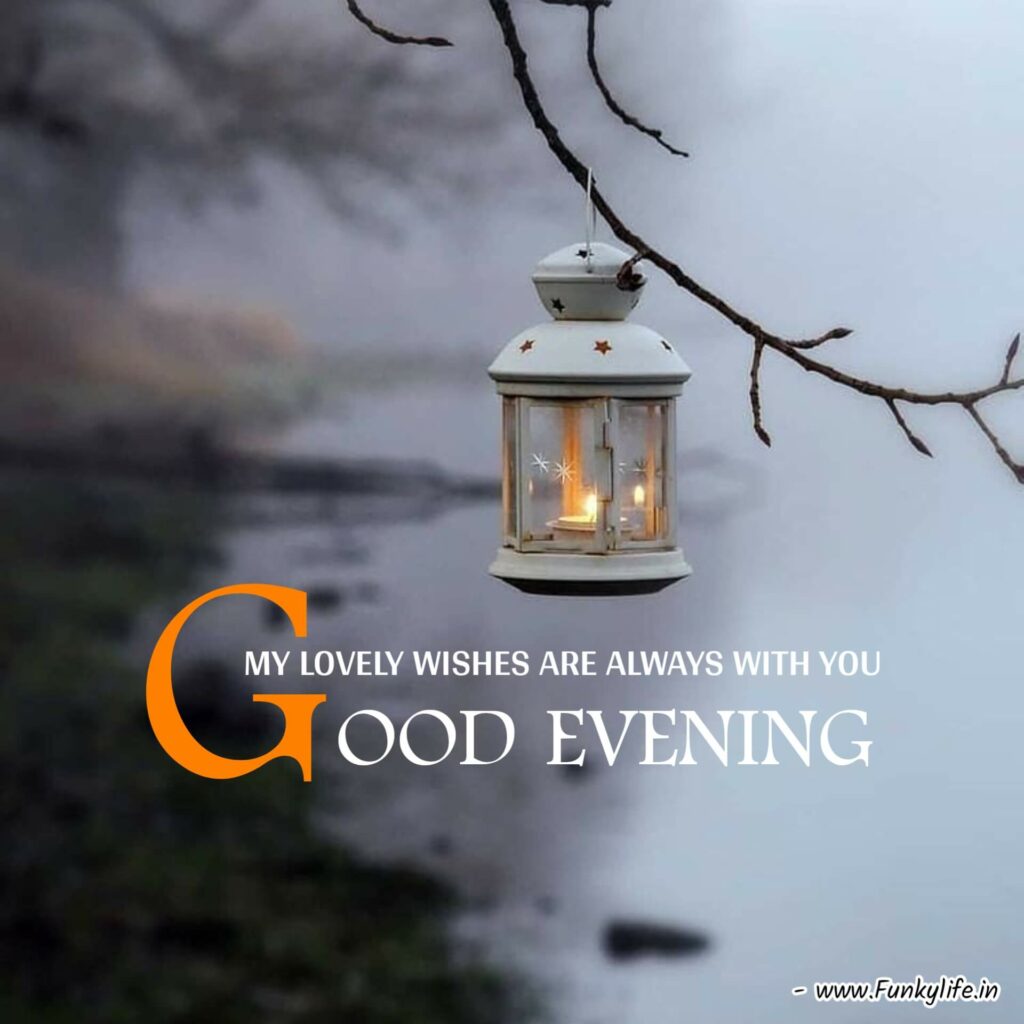75+ Beautiful Good Evening Images, Photos & Pictures Ideas 2022