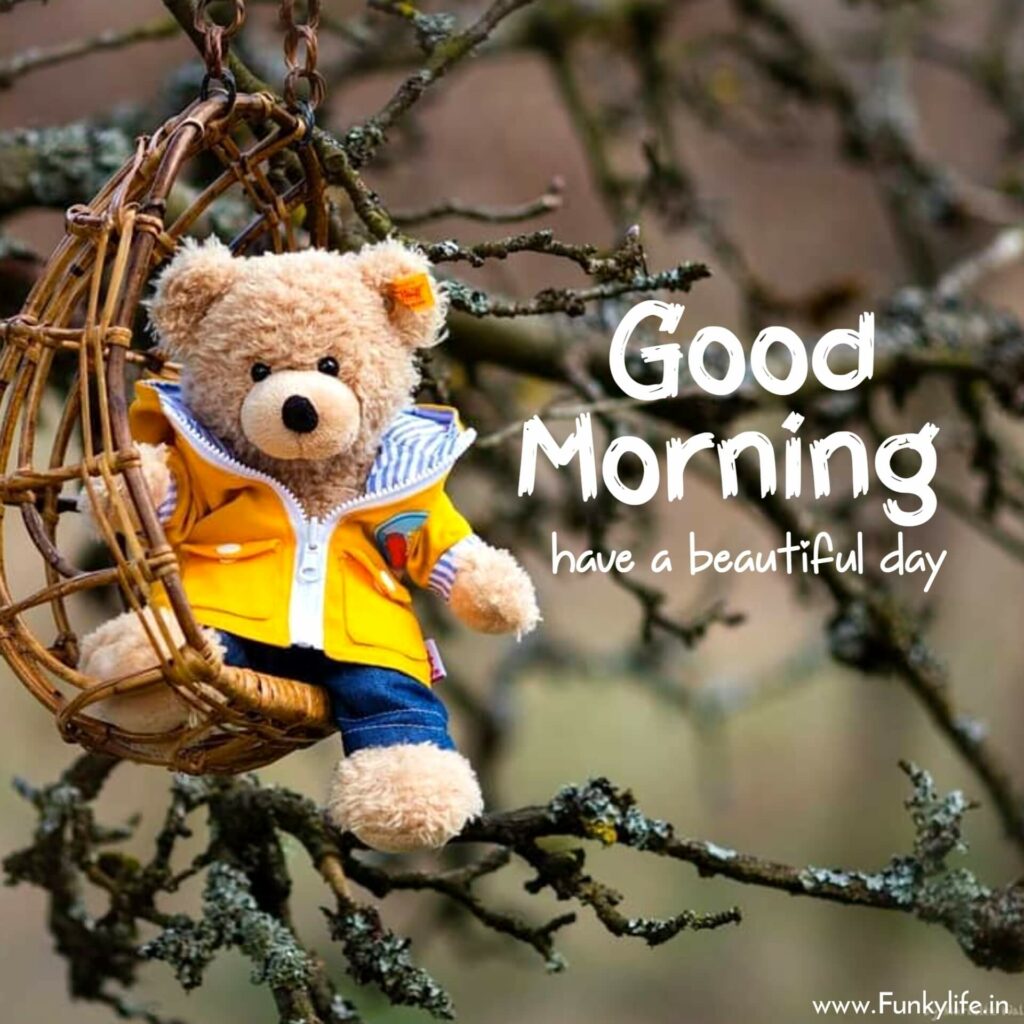 600+ BEST Good Morning Images for 2024 - Funky Life