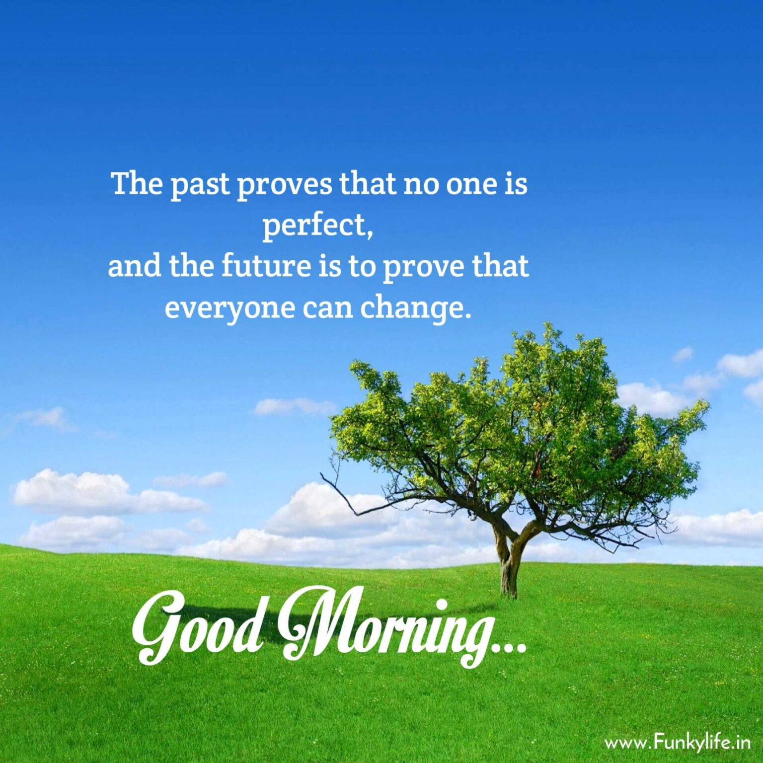 600+ BEST Good Morning Images for 2025 - Funky Life