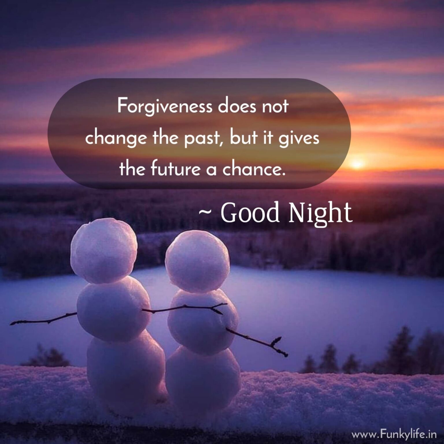 150+ Beautiful Good Night Quotes, Images and Messages