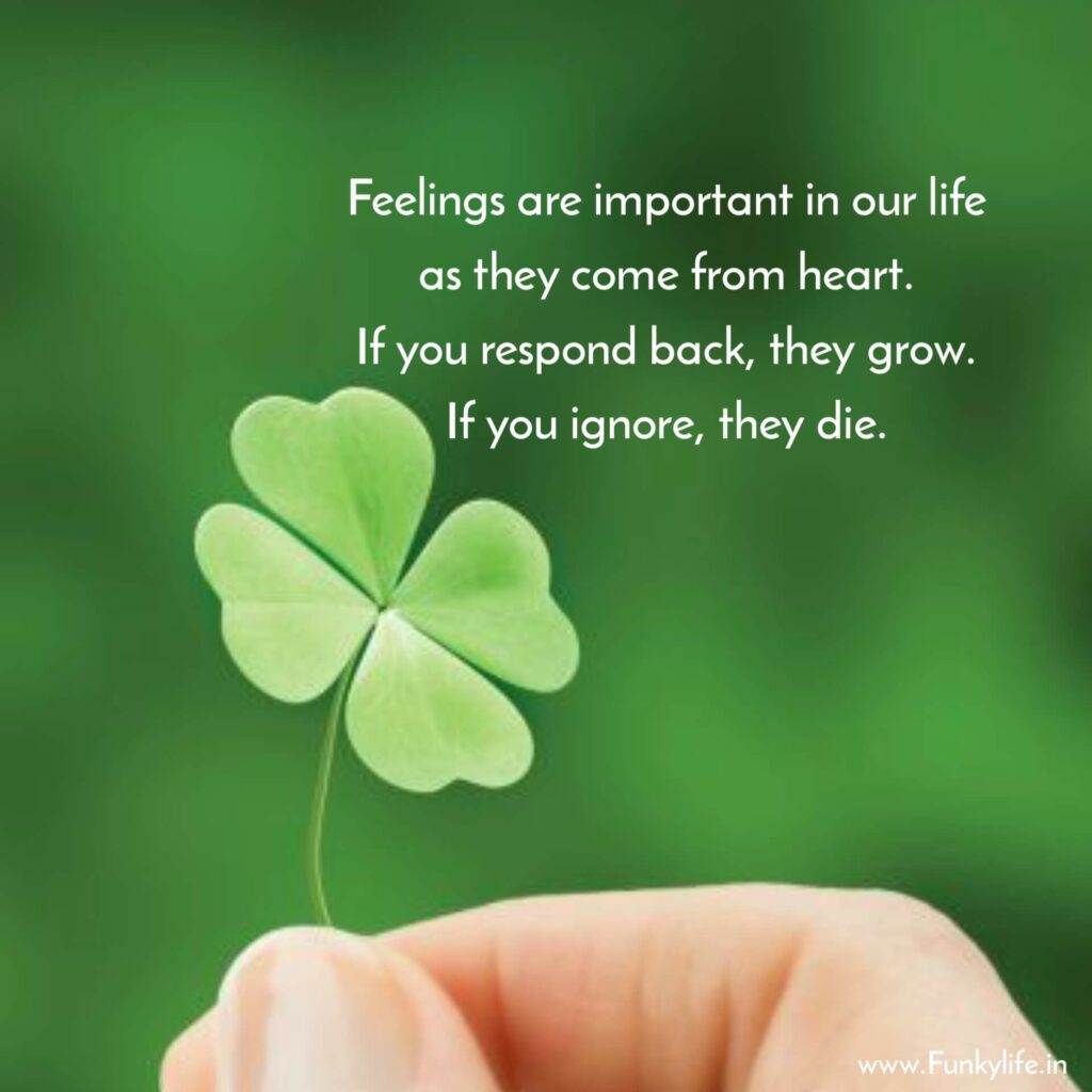 100+ Best Life Quotes That Will Change Your Life