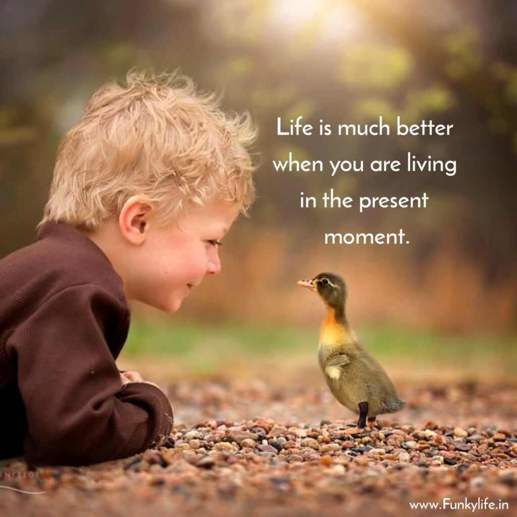 100+ Best Life Quotes That Will Change Your Life