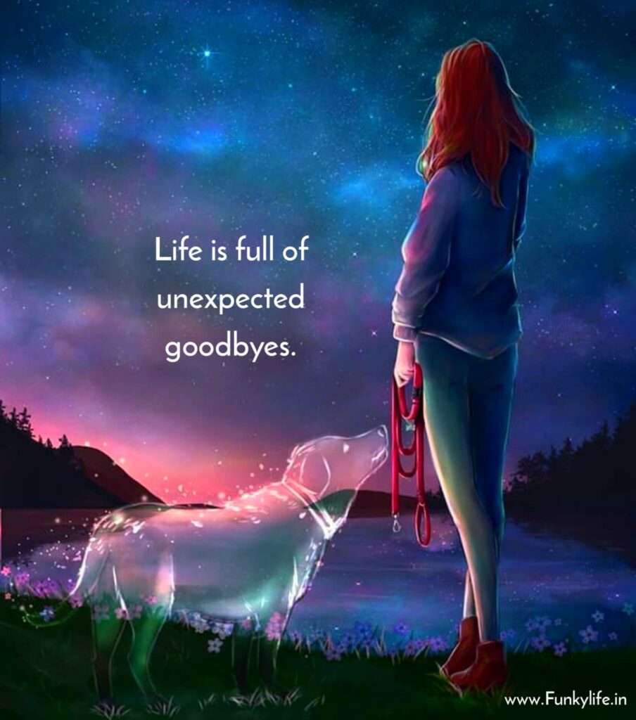 100+ Best Life Quotes That Will Inspire You - Funky Life