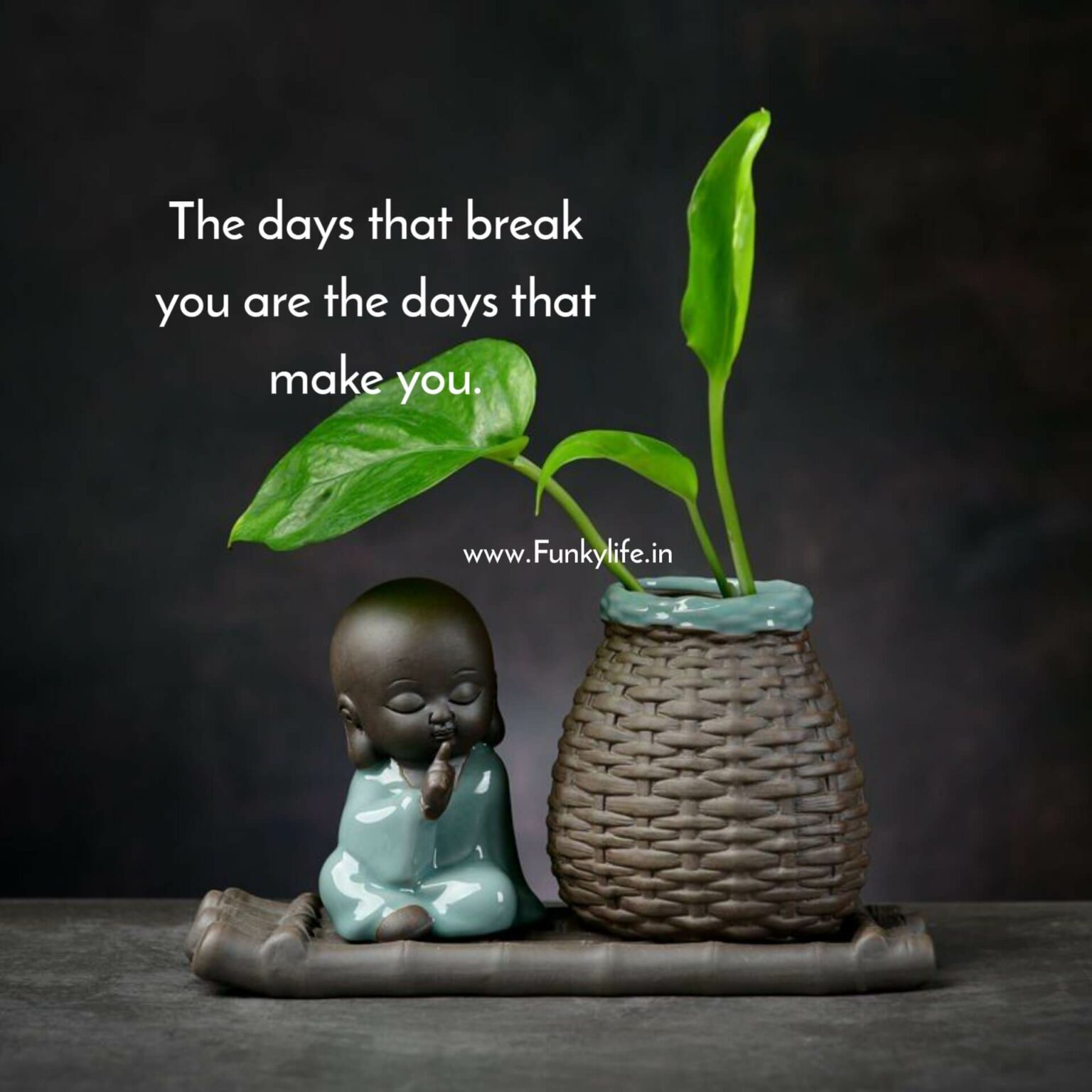 100+ Best Life Quotes That Will Change Your Life