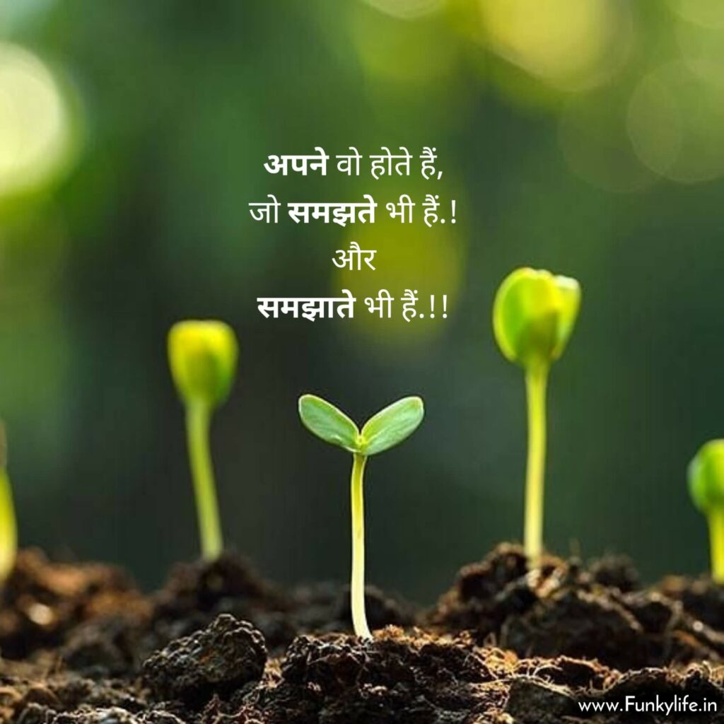 200+ New WhatsApp Status Quotes for Everyone 2026