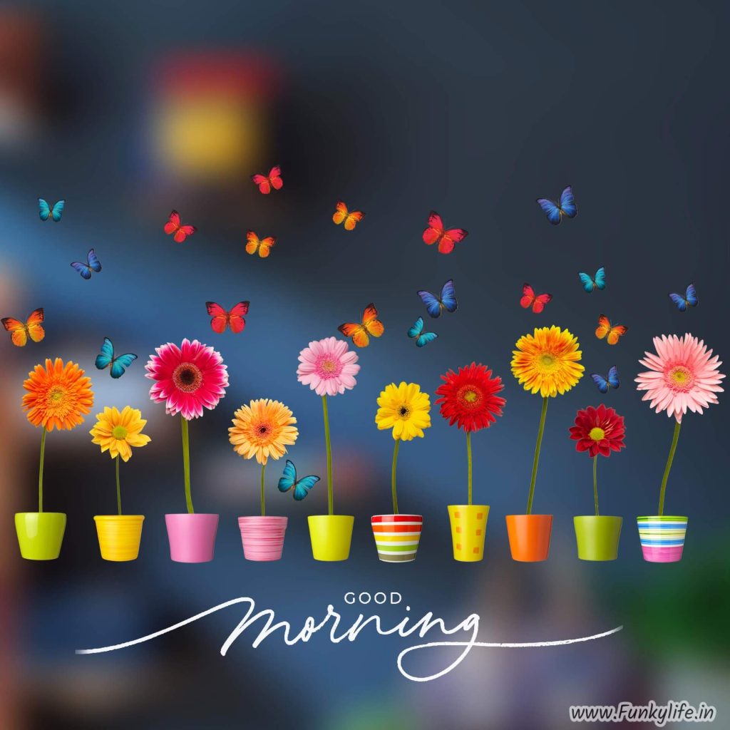 600+ BEST Good Morning Images for 2025 - Funky Life