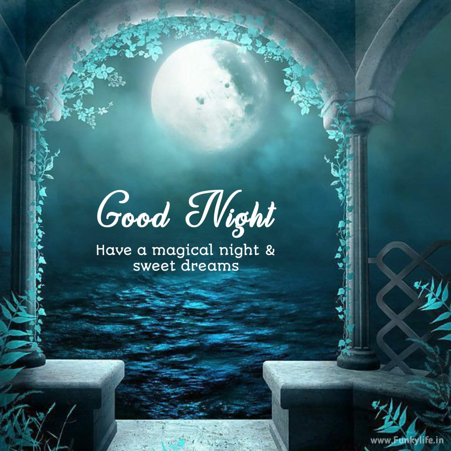 100+ Best Good Night Wishes - Funky Life