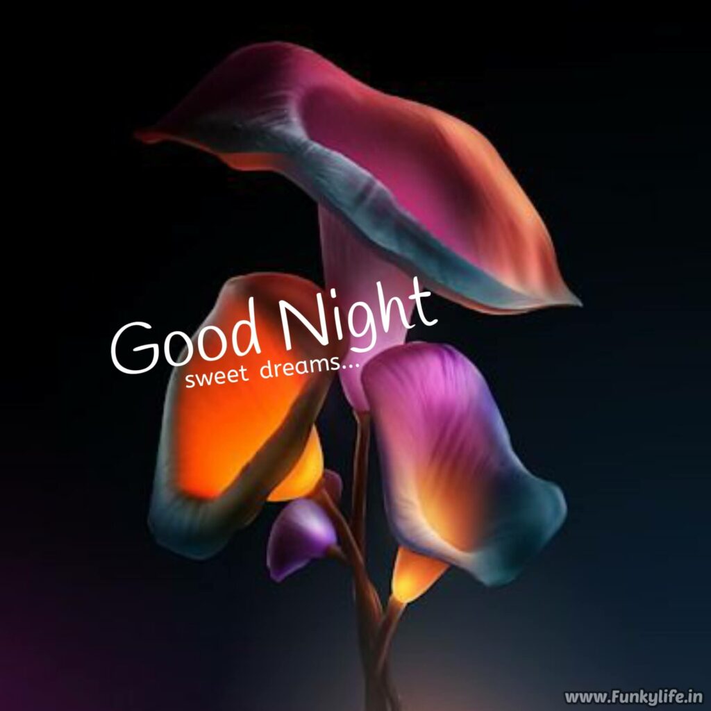 520+ Beautiful Good Night Images, Photos & Wallpapers