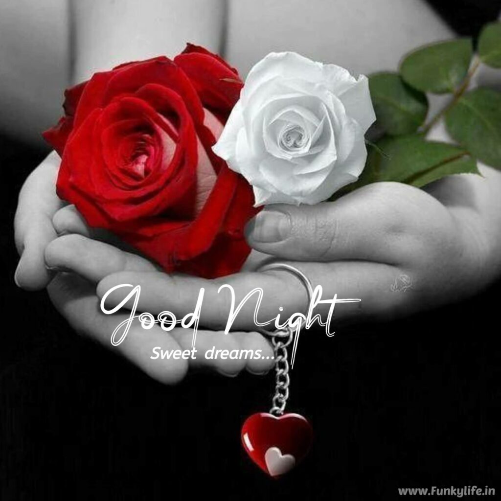 520+ Beautiful Good Night Images, Photos & Wallpapers