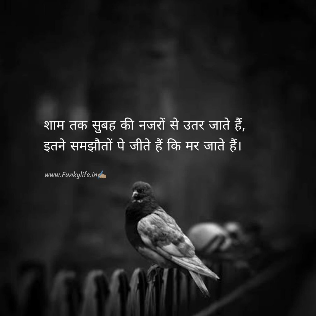 60+ Best Life Shayari in Hindi - लाइफ शायरी - Funky Life
