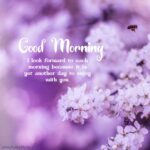 50+ New Good Morning Images, Photos & Pictures - Funky Life