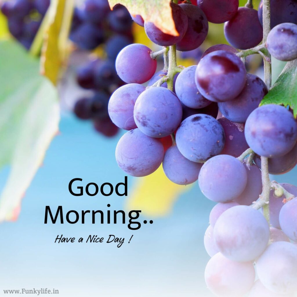 50+ New Good Morning Images, Photos & Pictures - Funky Life