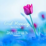 50+ New Good Morning Images, Photos & Pictures - Funky Life