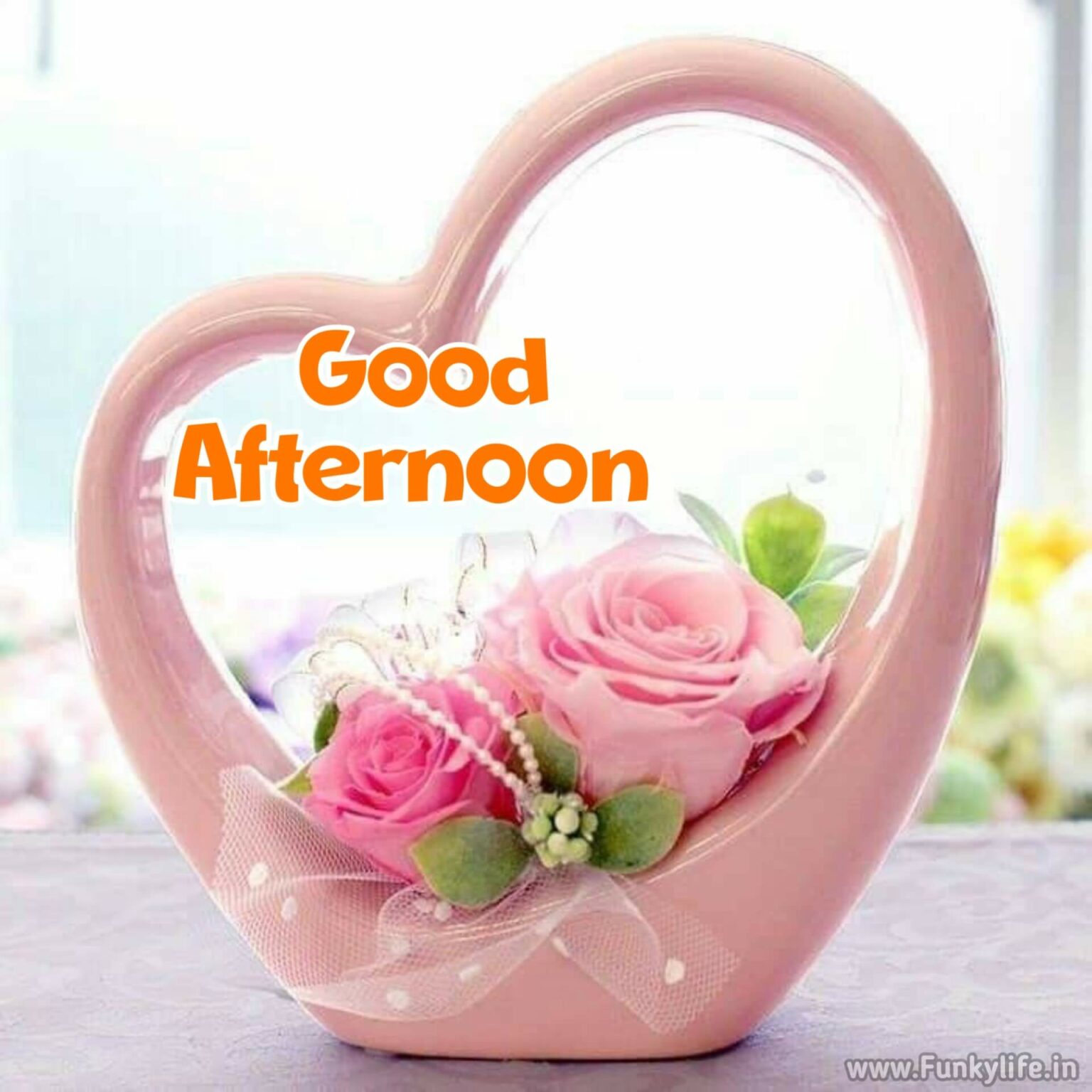 100+ BEST Good Afternoon Images & Pictures for WhatsApp