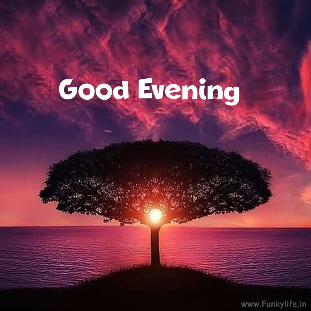 100+ Beautiful Good Evening Images, Photos & Pictures 2026