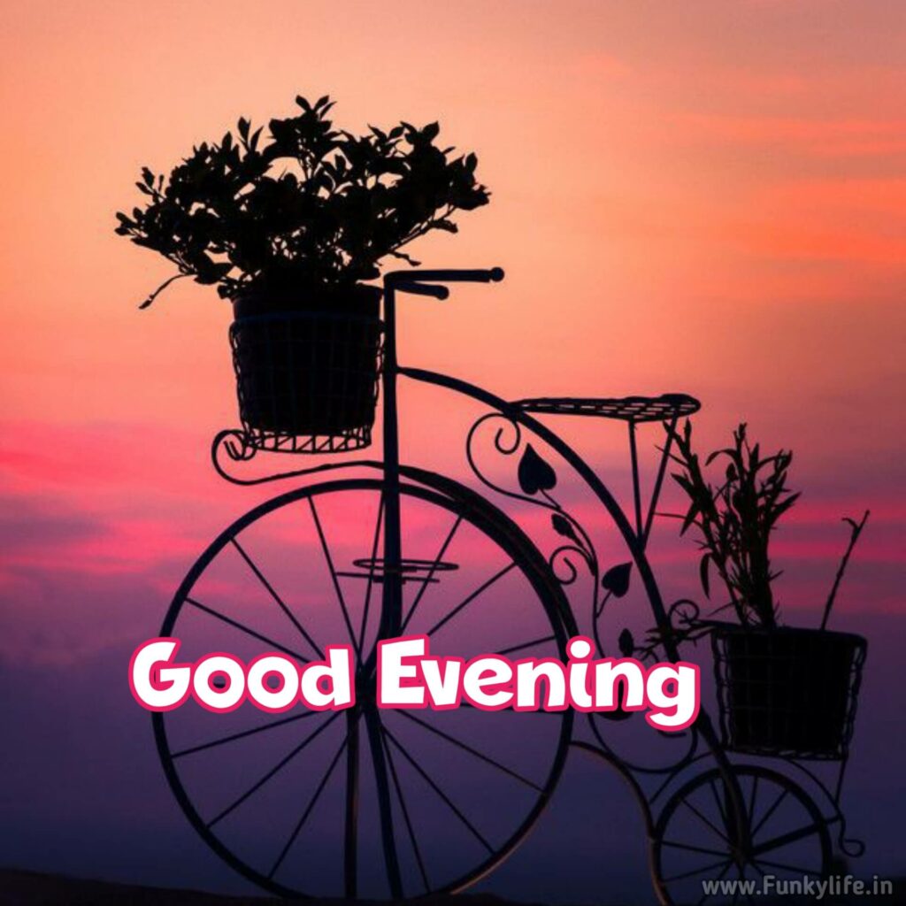 100+ Beautiful Good Evening Images, Photos & Pictures 2023