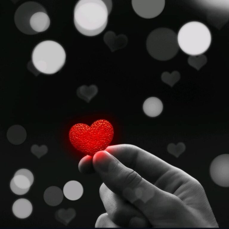 TOP 70 Attractive WhatsApp DP Images Download - Funky Life