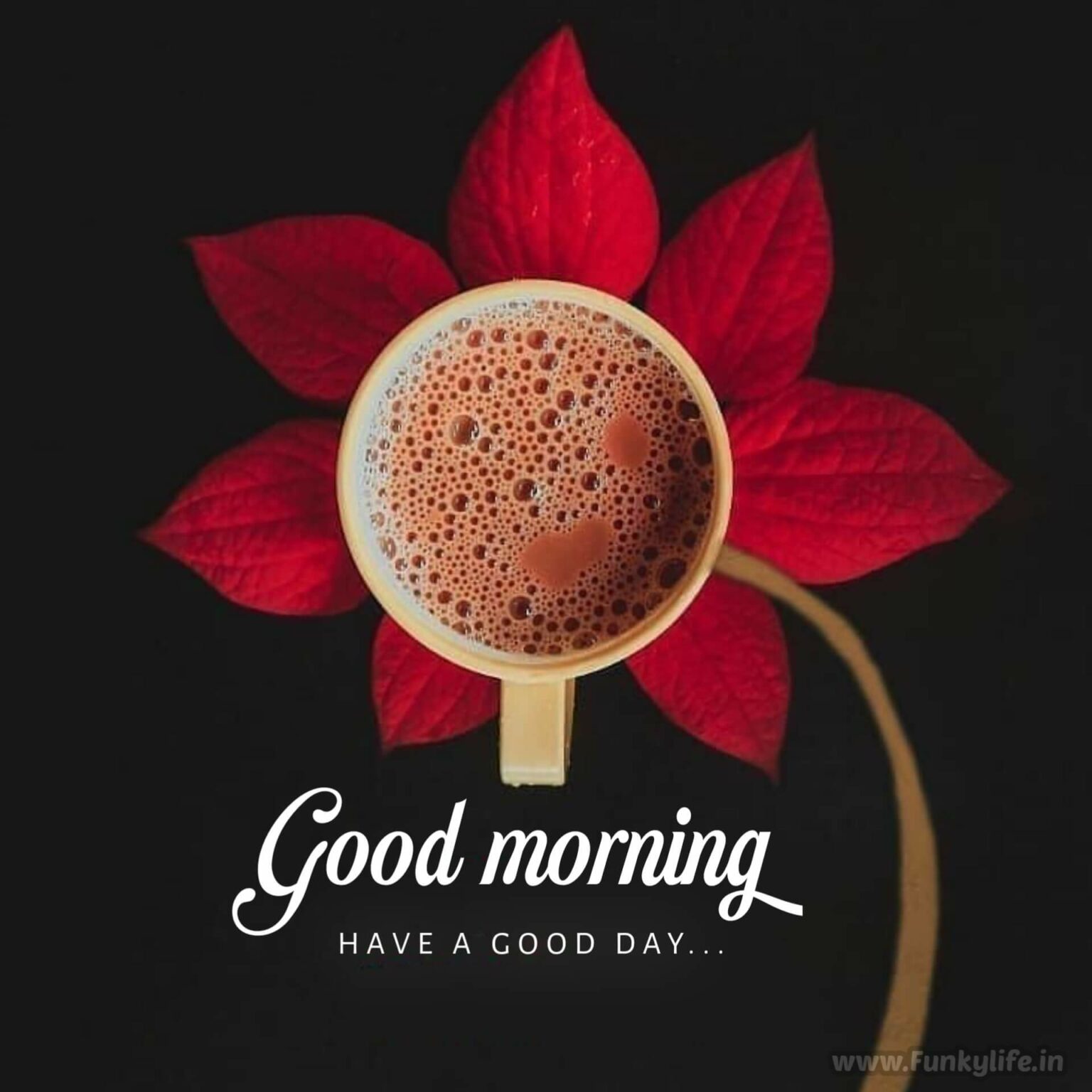 600+ BEST Good Morning Images for 2025 - Funky Life