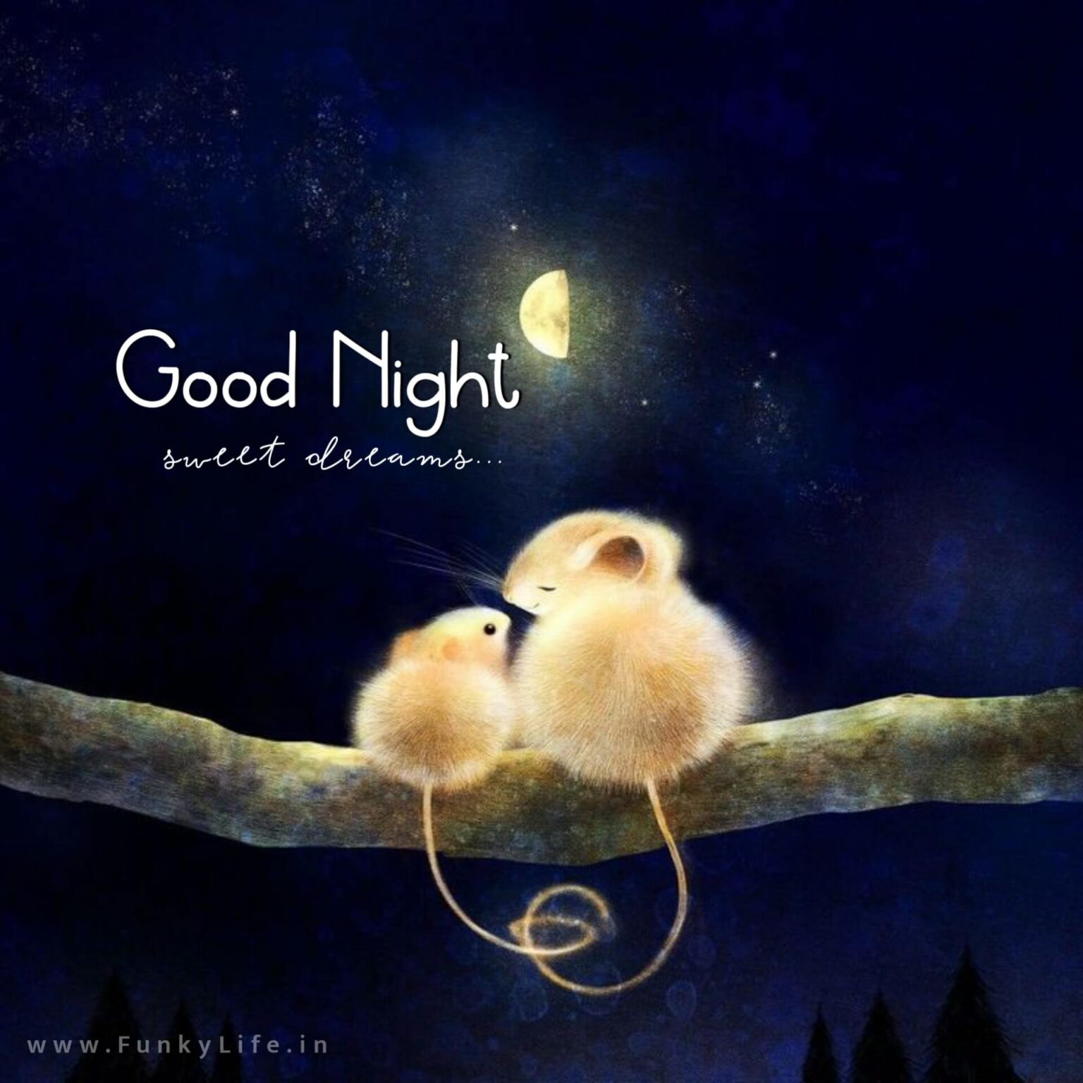 400+ New Good Night Images, Photos & Pictures 2023