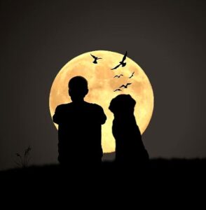 100+ BEST Alone DP Images for WhatsApp 2024