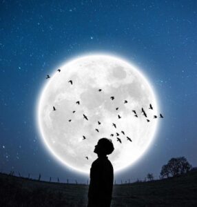 100+ BEST Alone DP Images for WhatsApp 2024