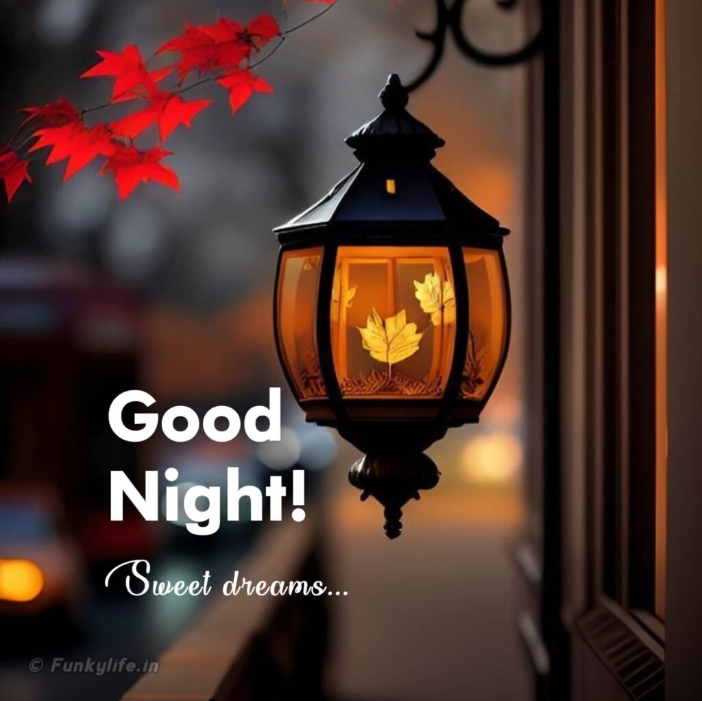 500+ Beautiful Good Night Images for 2024