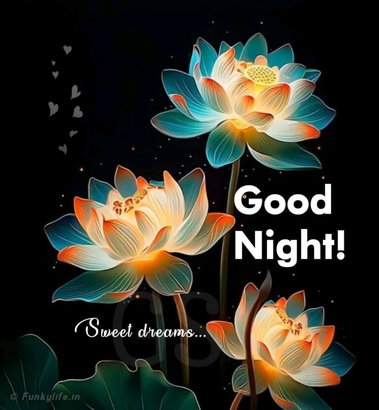 500+ Beautiful Good Night Images for 2024